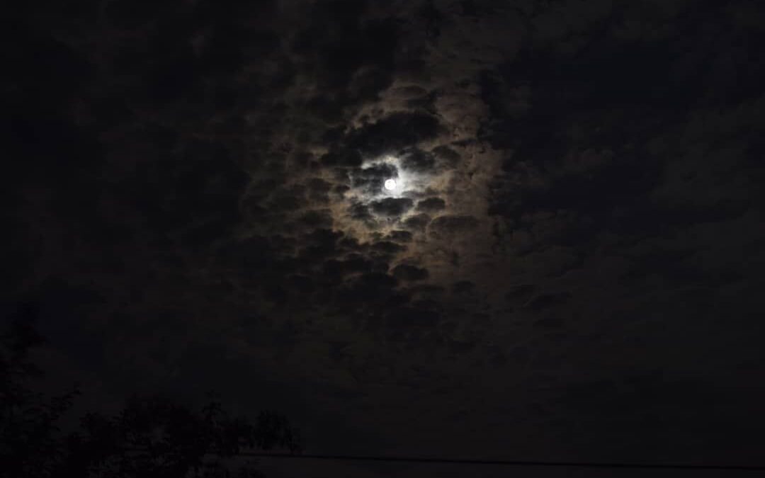 Soul Starvation | The Phantom Pages 2024